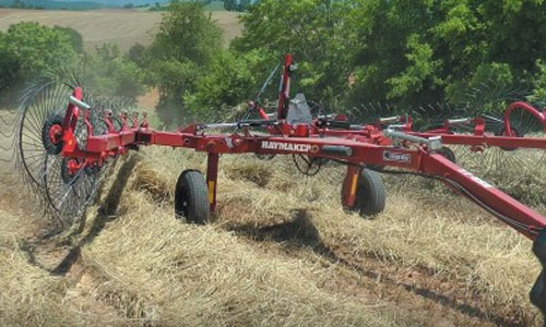 BSR Hay Rake - Goldman Equipment