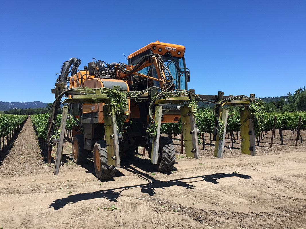 LARGE VINES SPECIAL MACHINES - Oregon Equipment Sales