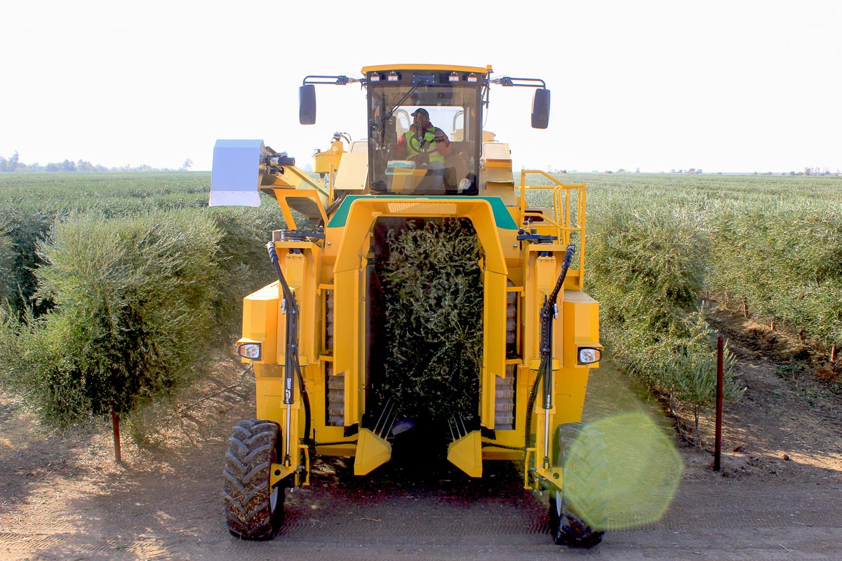 6430 - Cummins Equipment Co, Inc.